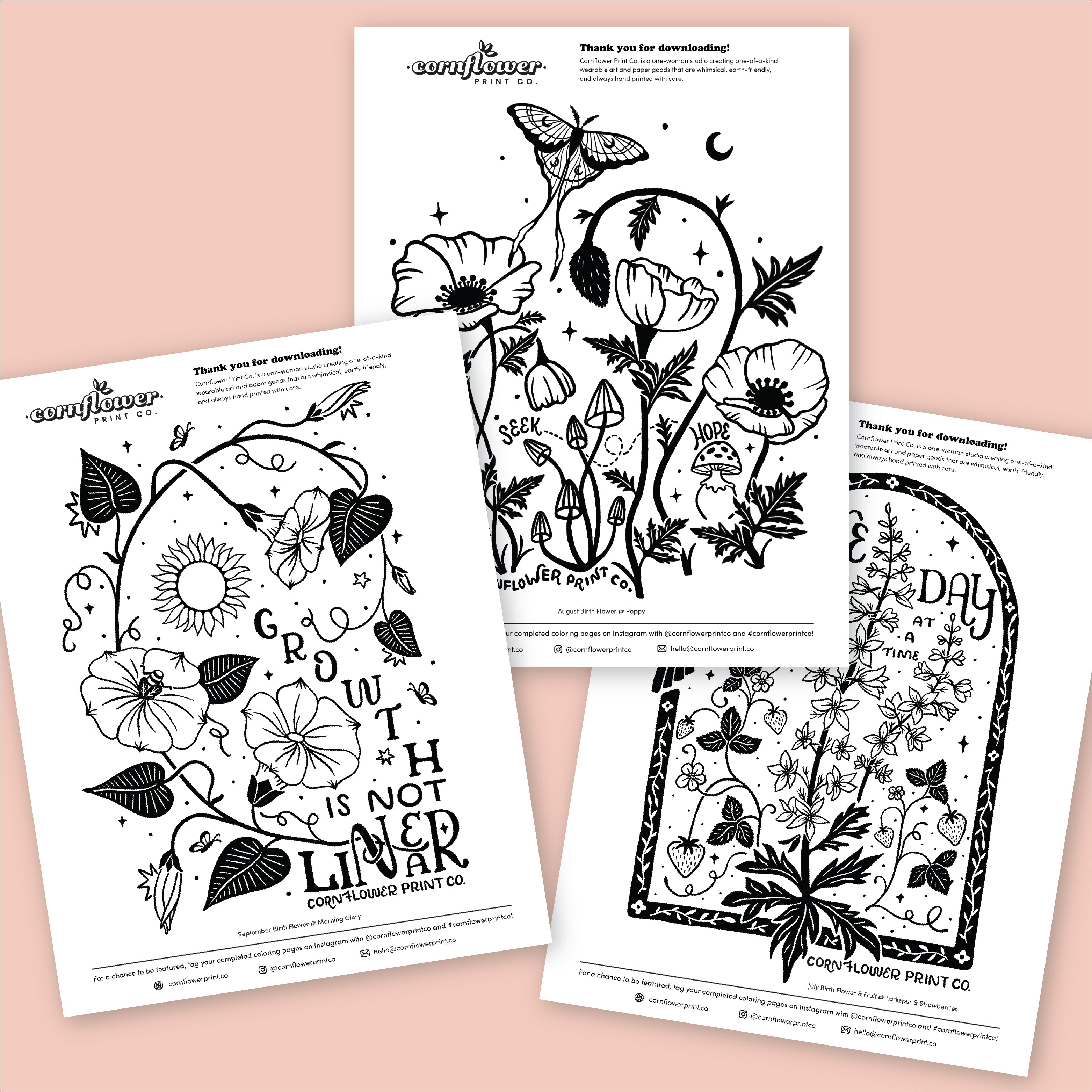 Free Birth Flower Coloring Page Download (June - Oct) Cornflower Print Co.